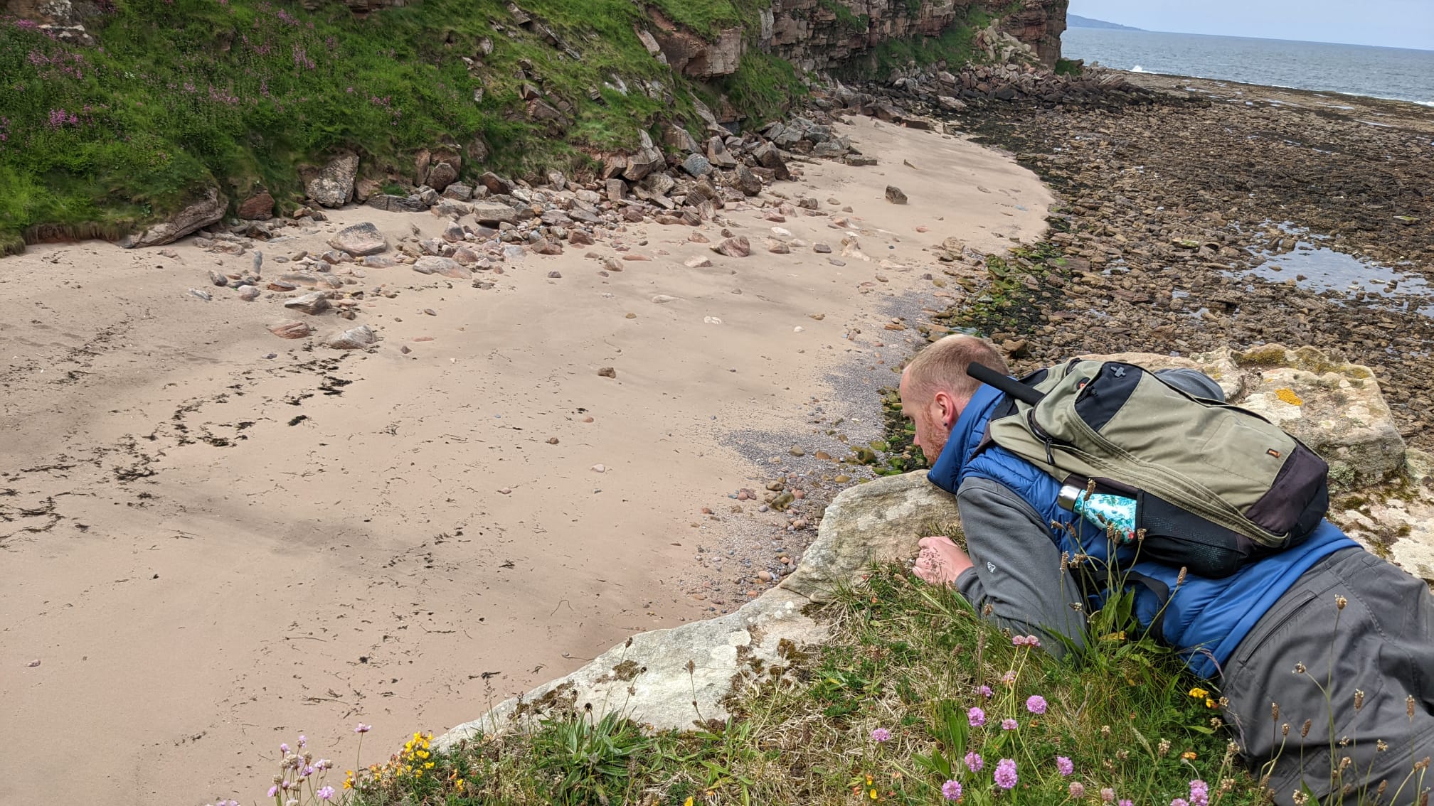 North East Wildlife - James Common