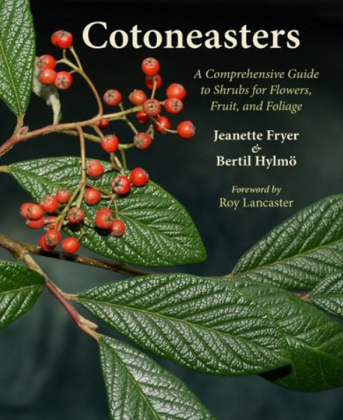 UK Cotoneasters - James Common